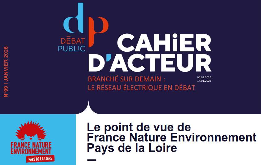 Schéma Décennal de Développement du Réseau RTE : notre avis | France ...